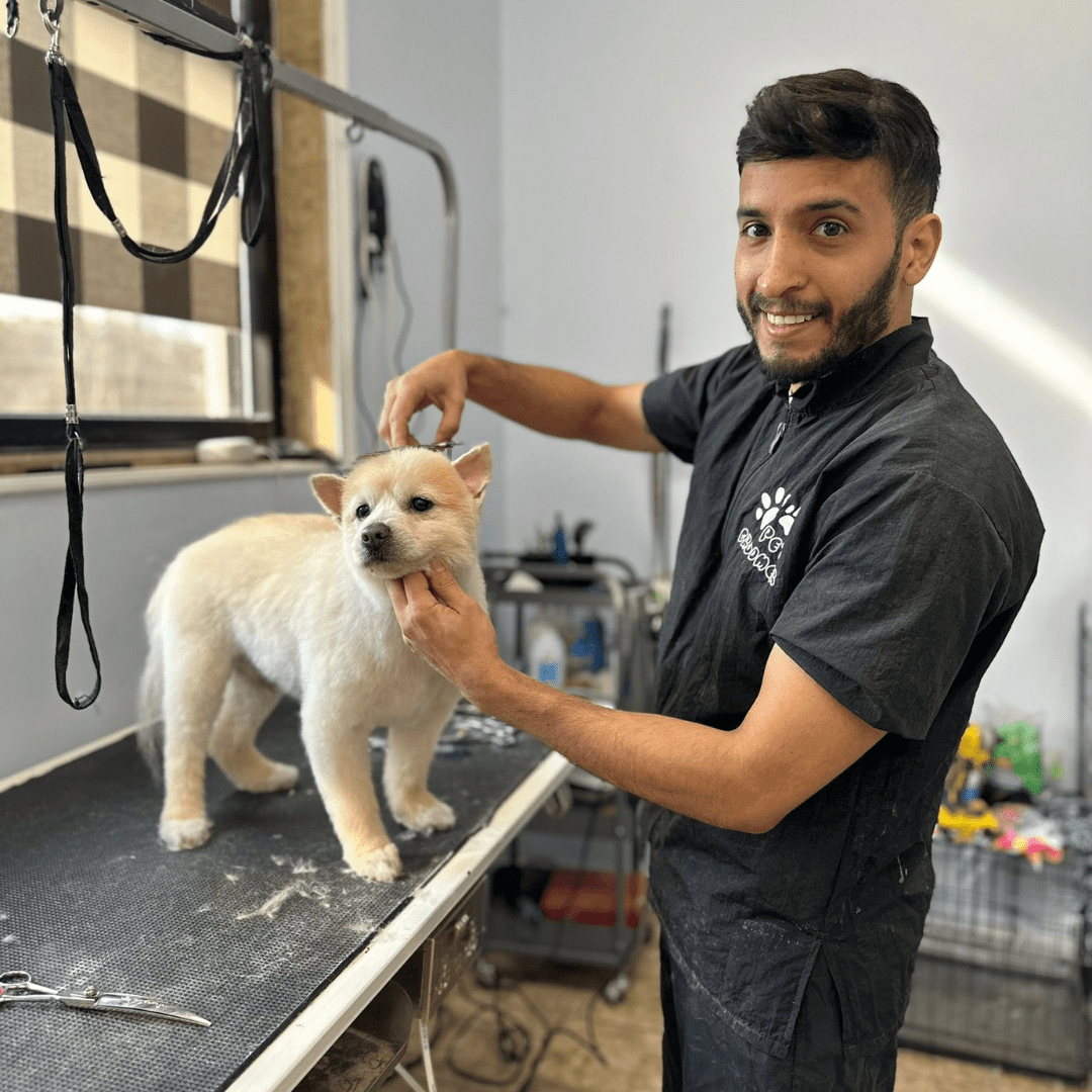 About us – Doggyland Grooming